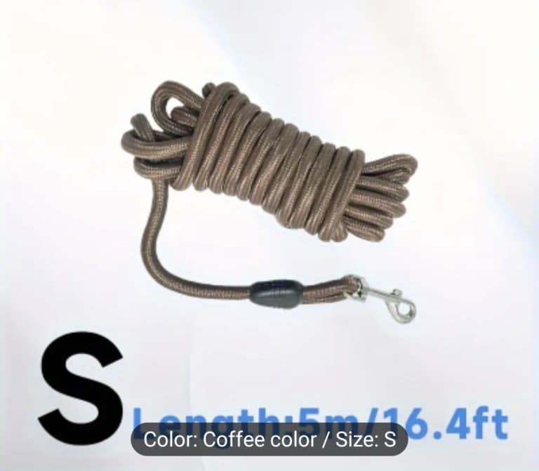 Training Lead - Longline - Kuri City